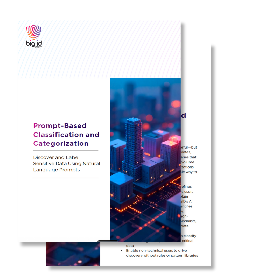 BigID Prompt-based Classification Solution Brief